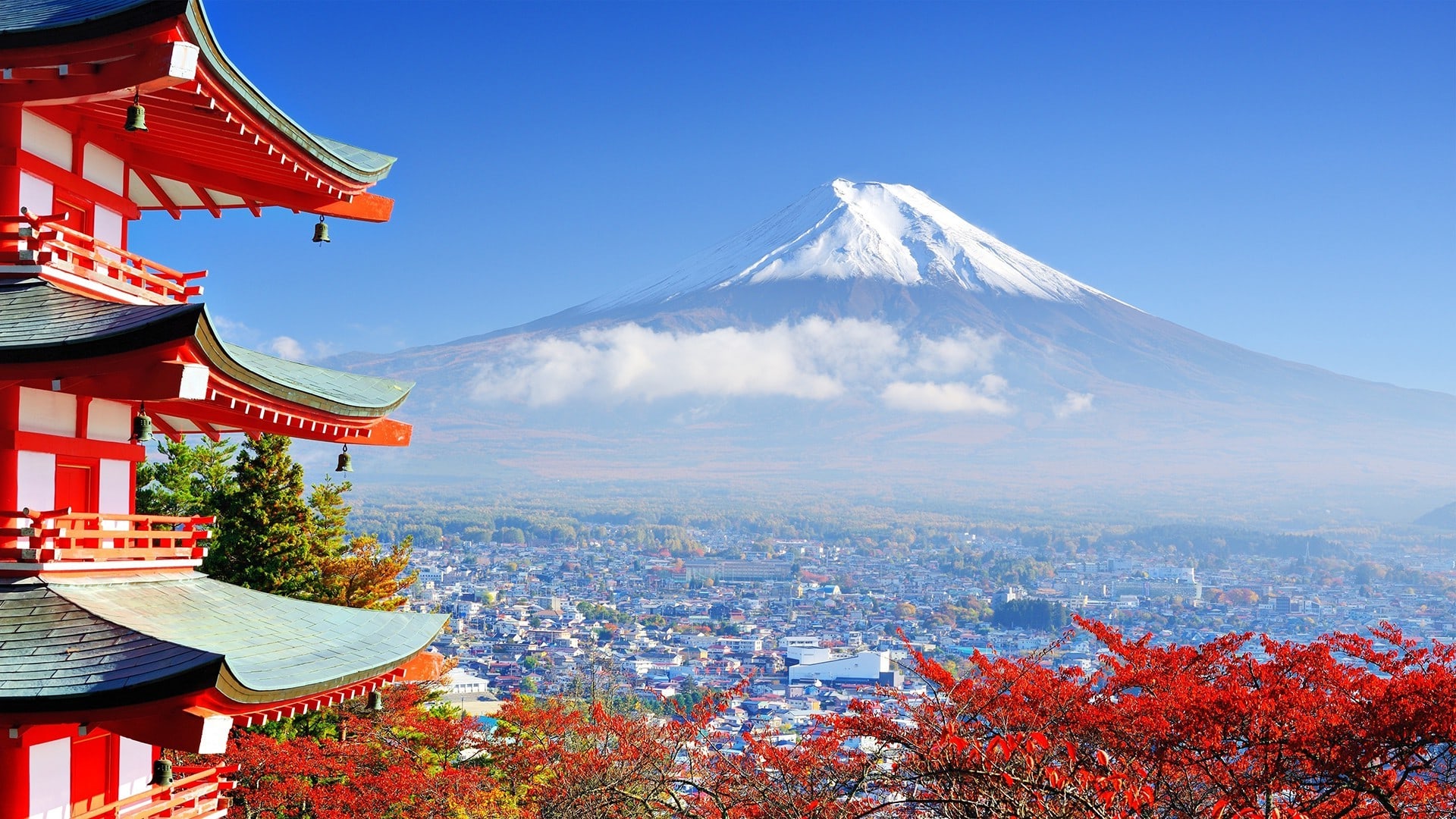 Diary of my global internship in Tokyo (part 3) | CRCC Asia Internships ...